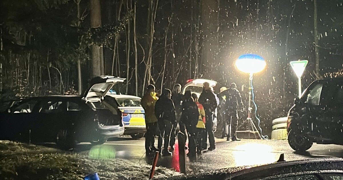 Wild scenes - Chase after fuel theft ends with a gunshot | krone.at