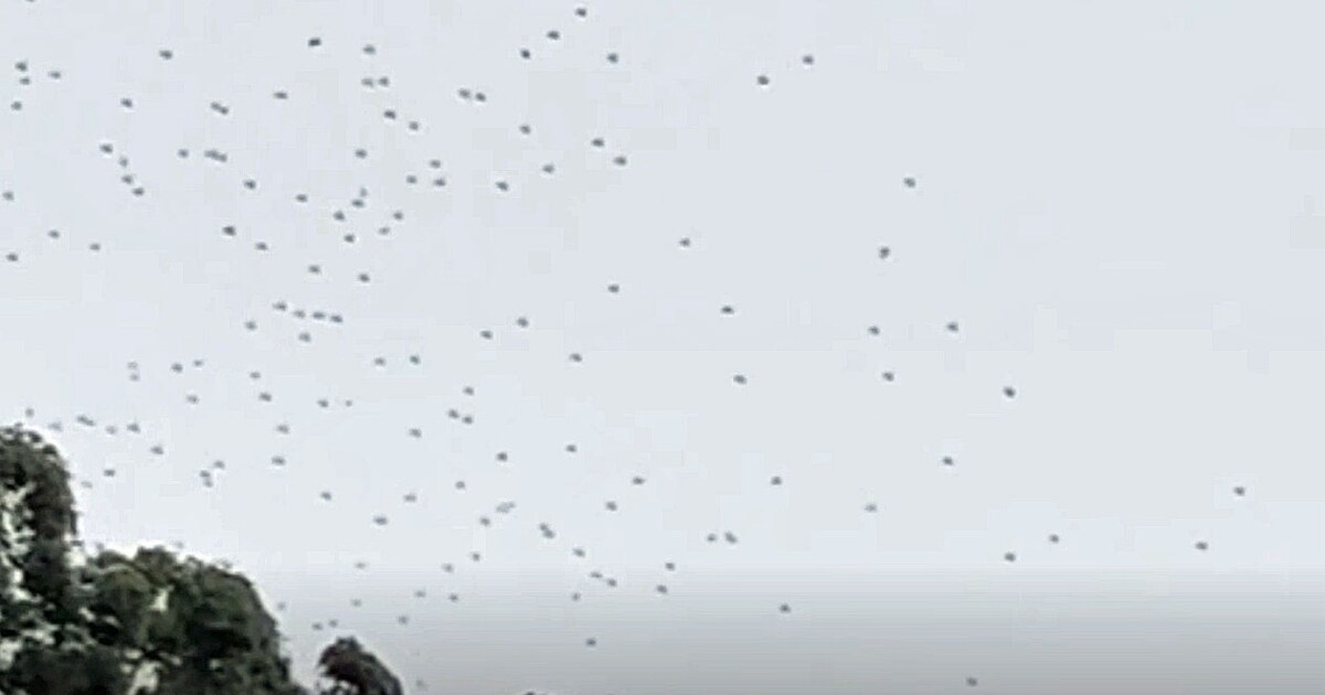 Incident in China - Hundreds of drones crashed during fireworks show ...