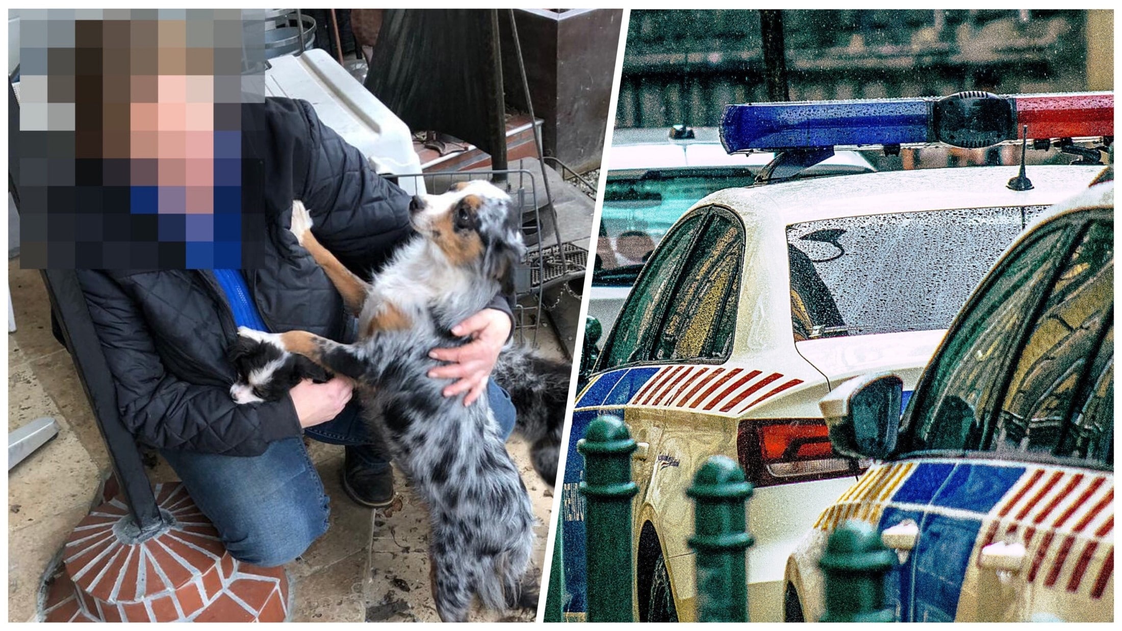 Österreicherin in Haft - Messie-Züchterin wartet in Ungarn auf ...