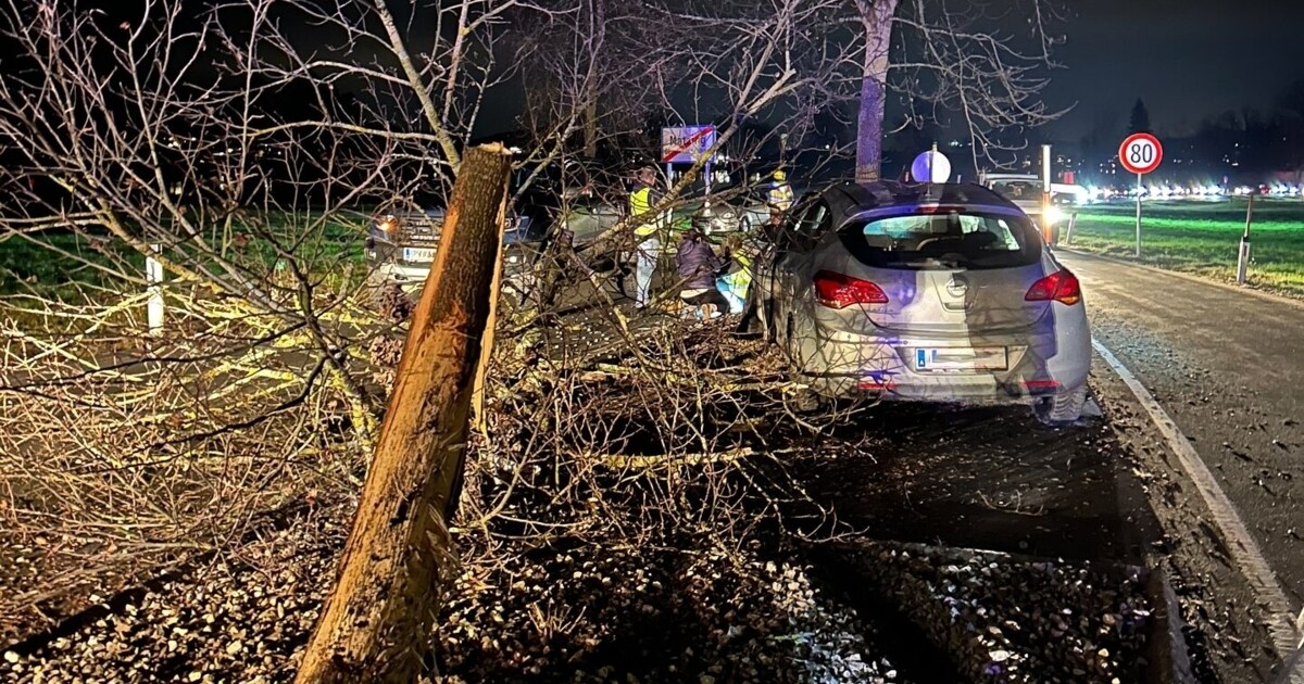 Nächtlicher Unfall - Auto prallt gegen Baum: Fahrer wurde verletzt | krone.at