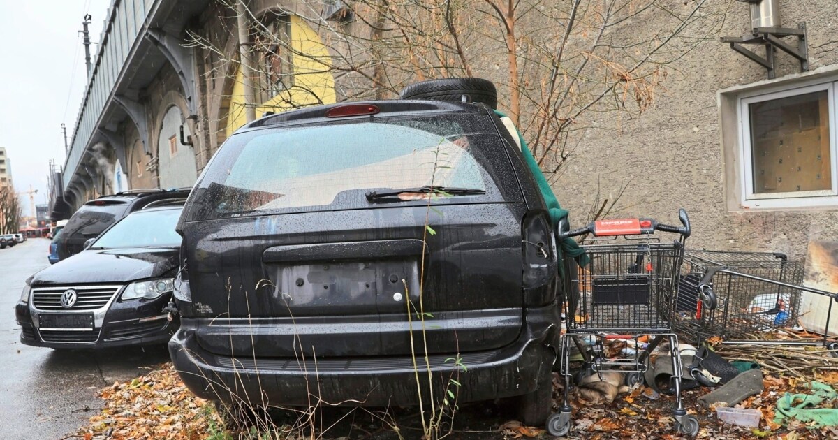 Untragbare Zustände - Autowracks, Müll, Ratten gegenüber von Wohnblock ...