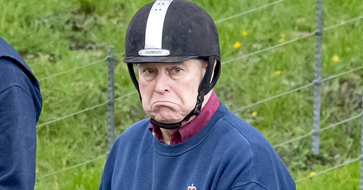 Zu deprimiert - Prinz Andrew vernachlässigt die Corgis der Queen | krone.at