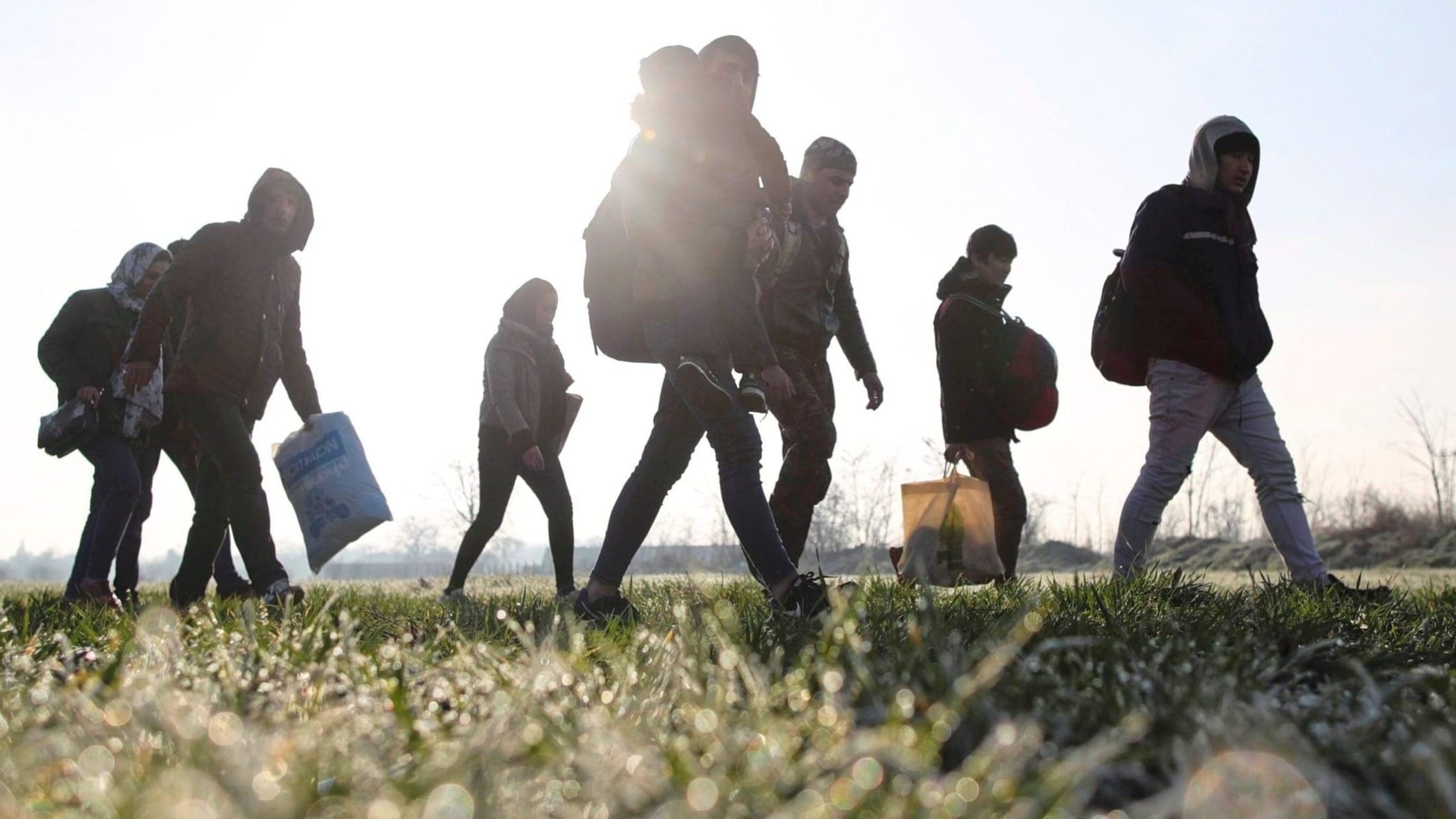 Deutsches Gericht: - Asylanträge von Syrern sind wieder zu bearbeiten ...