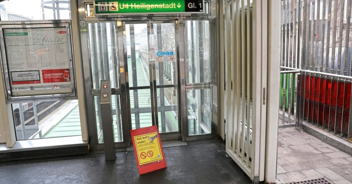 Renovation offensive - 2025 as the year of the missing public transport ...