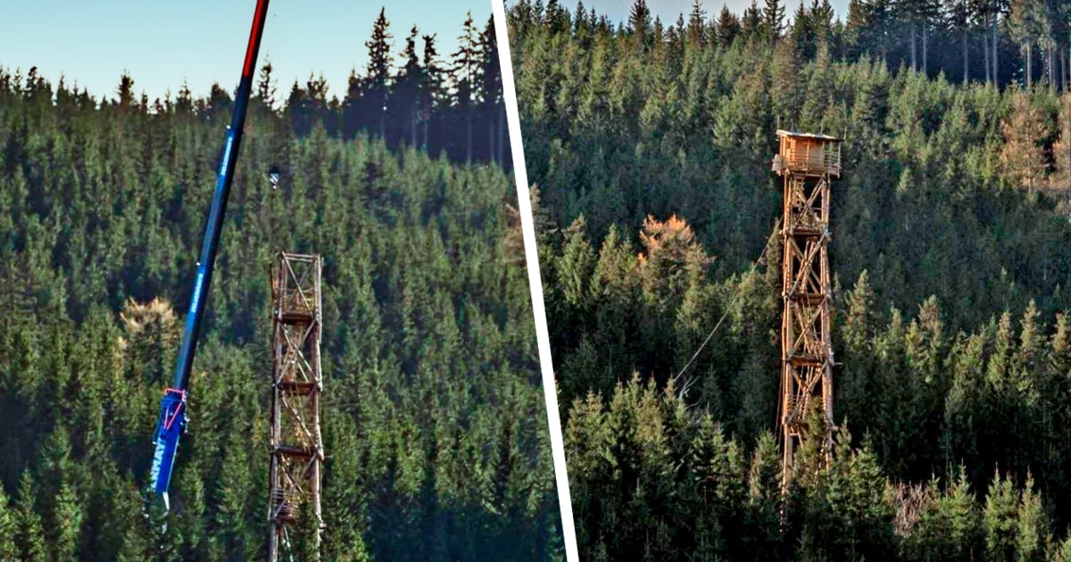 Ist das rechtens? - Hochsitz der Superlative: Wirbel um 29-Meter-Turm ...