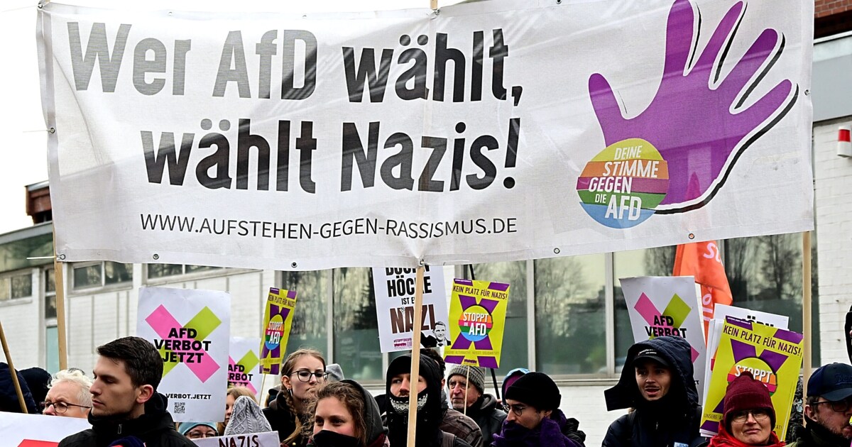 Polizei ermittelt - AfD-Wahlkampf: „Abschiebetickets“ verteilt | krone.at