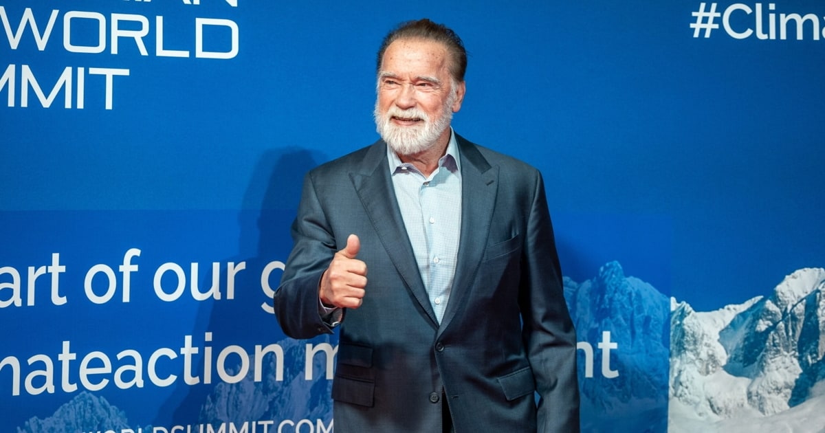 Charity-Dinner - Arnold Schwarzenegger im Klima-Red-Carpet-Modus | krone.at