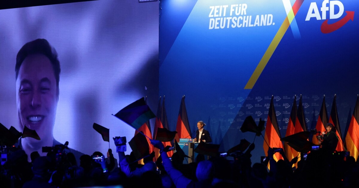 He supports AfD - Astonishment and outrage at Musk’s new appearance ...