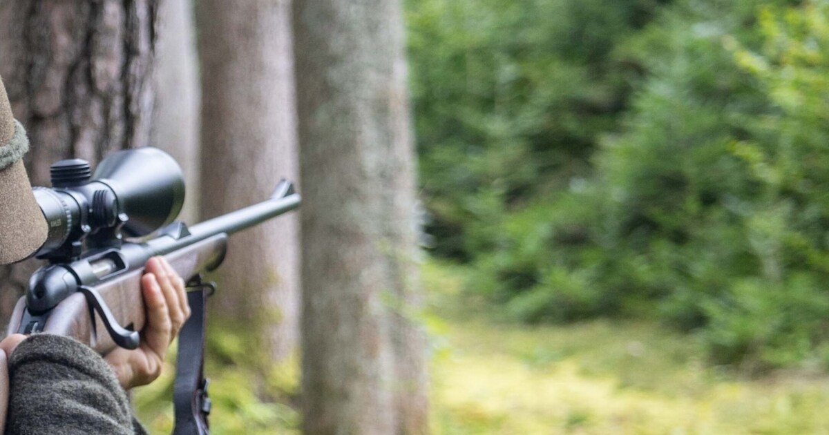 After the Drexler case - Hunters work on Mühlviertel murder cases ...