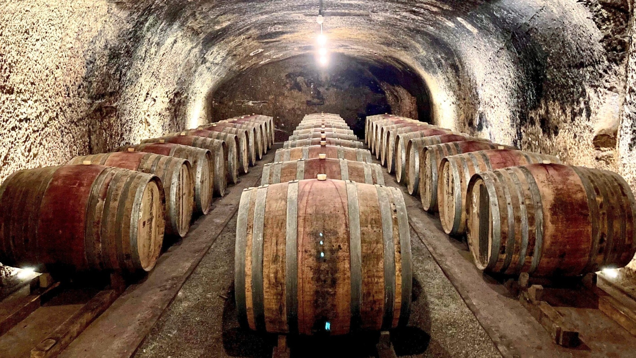 Organic cheers - | krone.at