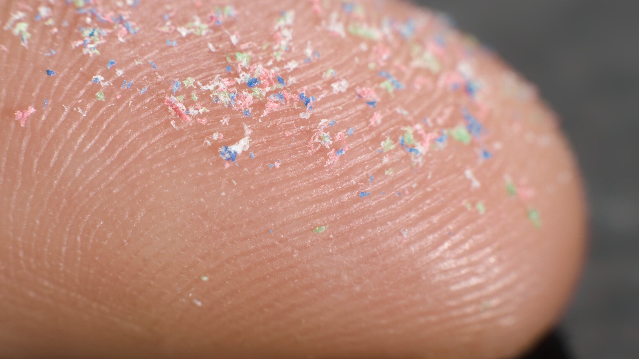 Especially in the brain - People have more plastic particles in their ...