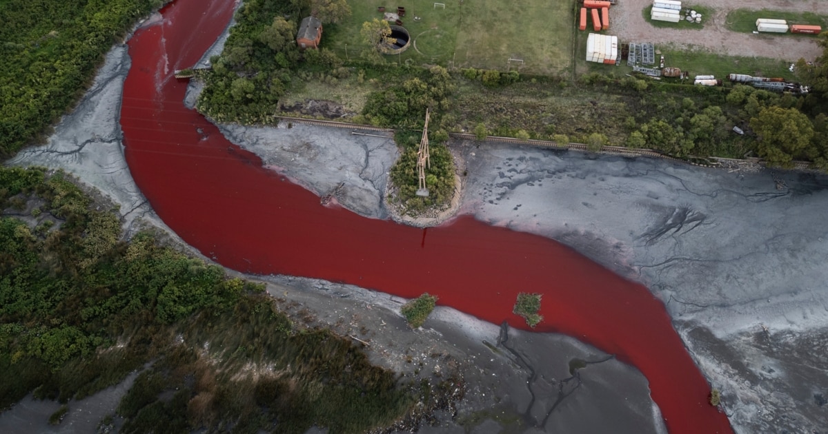 Local residents worried - Bizarre incident: river turned red overnight ...
