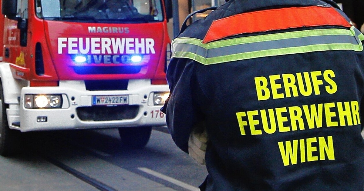 Rauchsäule über Wien - Spektakulärer Pkw-Brand löst Großeinsatz aus ...