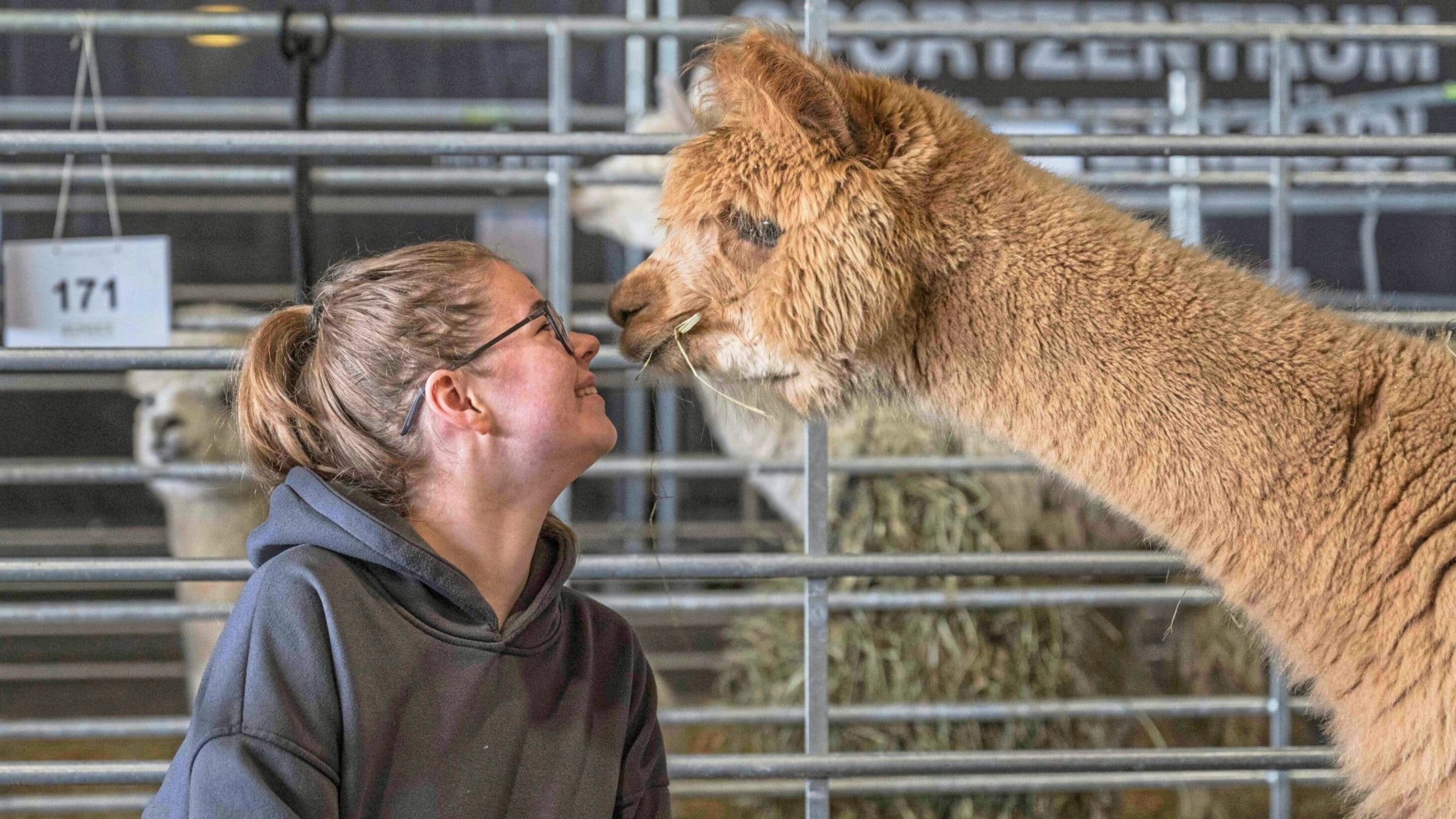 Cozy premiere - Graz Fair: First animal festival has opened | krone.at