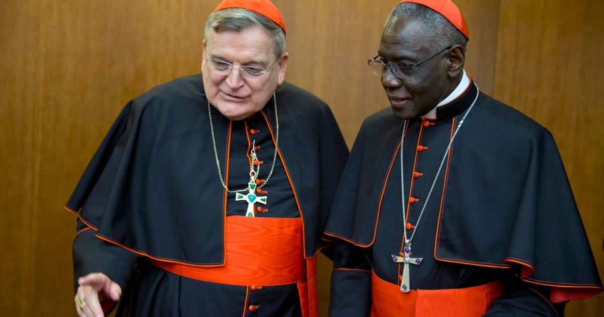 Kommt Traditionalist? - „Papabili“: Wer nach Franziskus‘ Tod Chancen ...