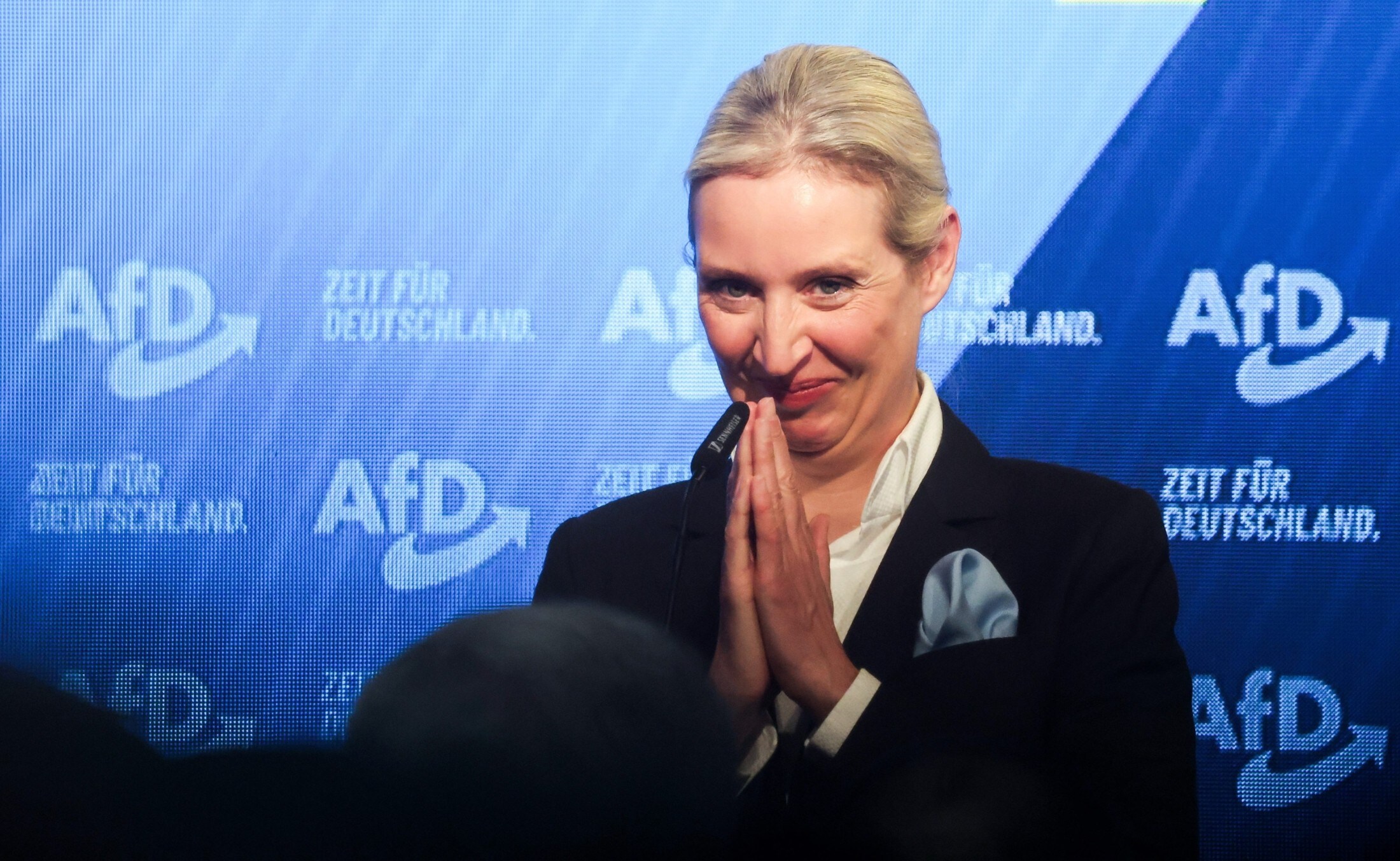 Umfrage-Hammer - 24 Prozent: AfD wird immer stärker | krone.at