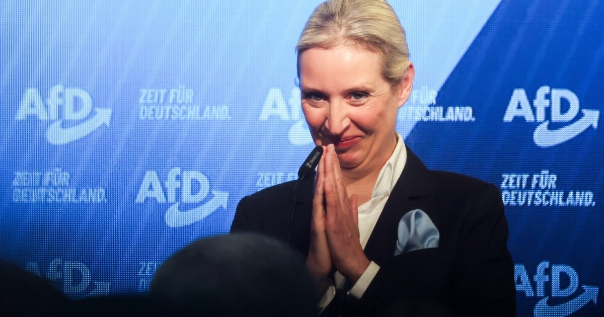 Votes doubled - AfD success: Central Council of Jews “shocked” | krone.at