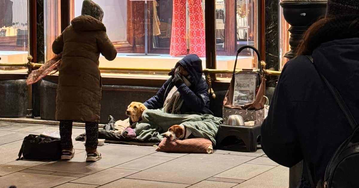 Readers appalled - Excitement: beggars rely on the dog pity effect ...