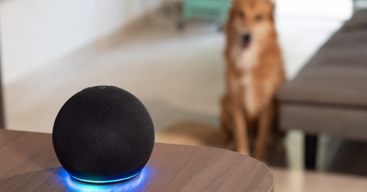 Has the dog been for a walk? - Alexa becomes an AI chatbot with a ...