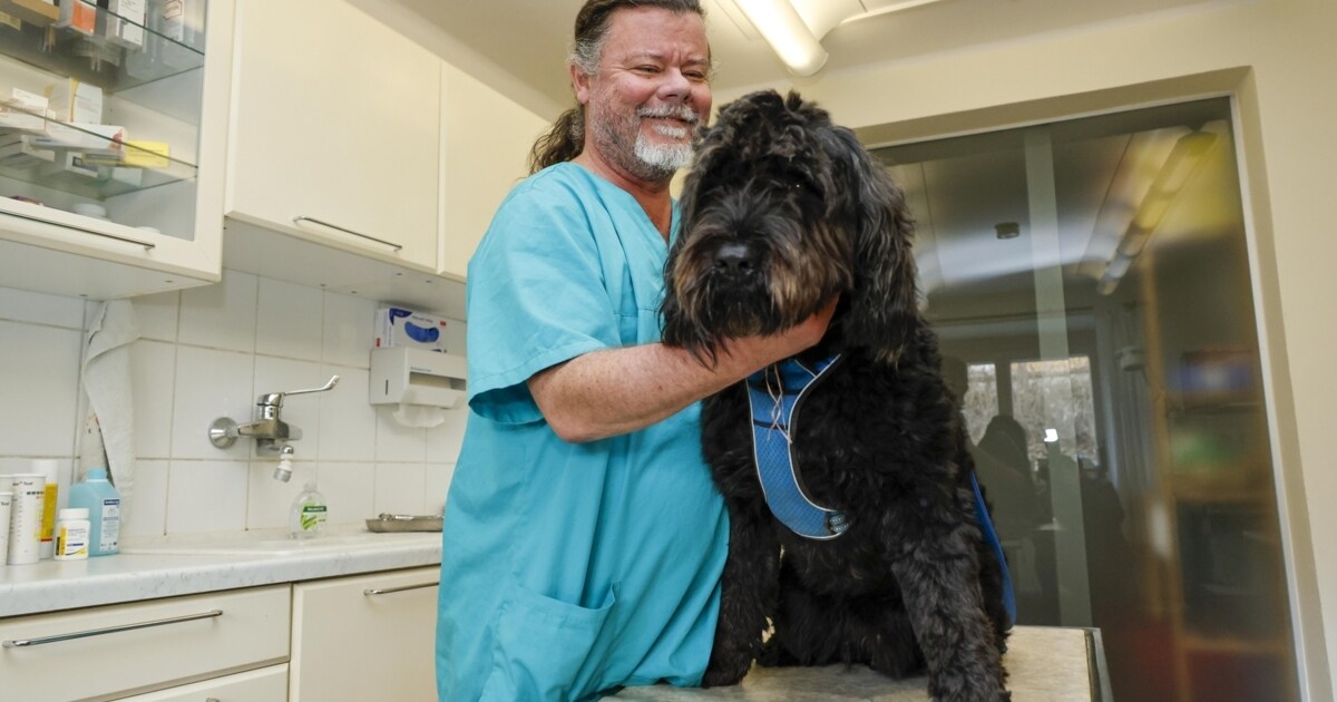 Nach „Krone“-Bericht - Neumarkter Ärzte haben wieder Internet und ...