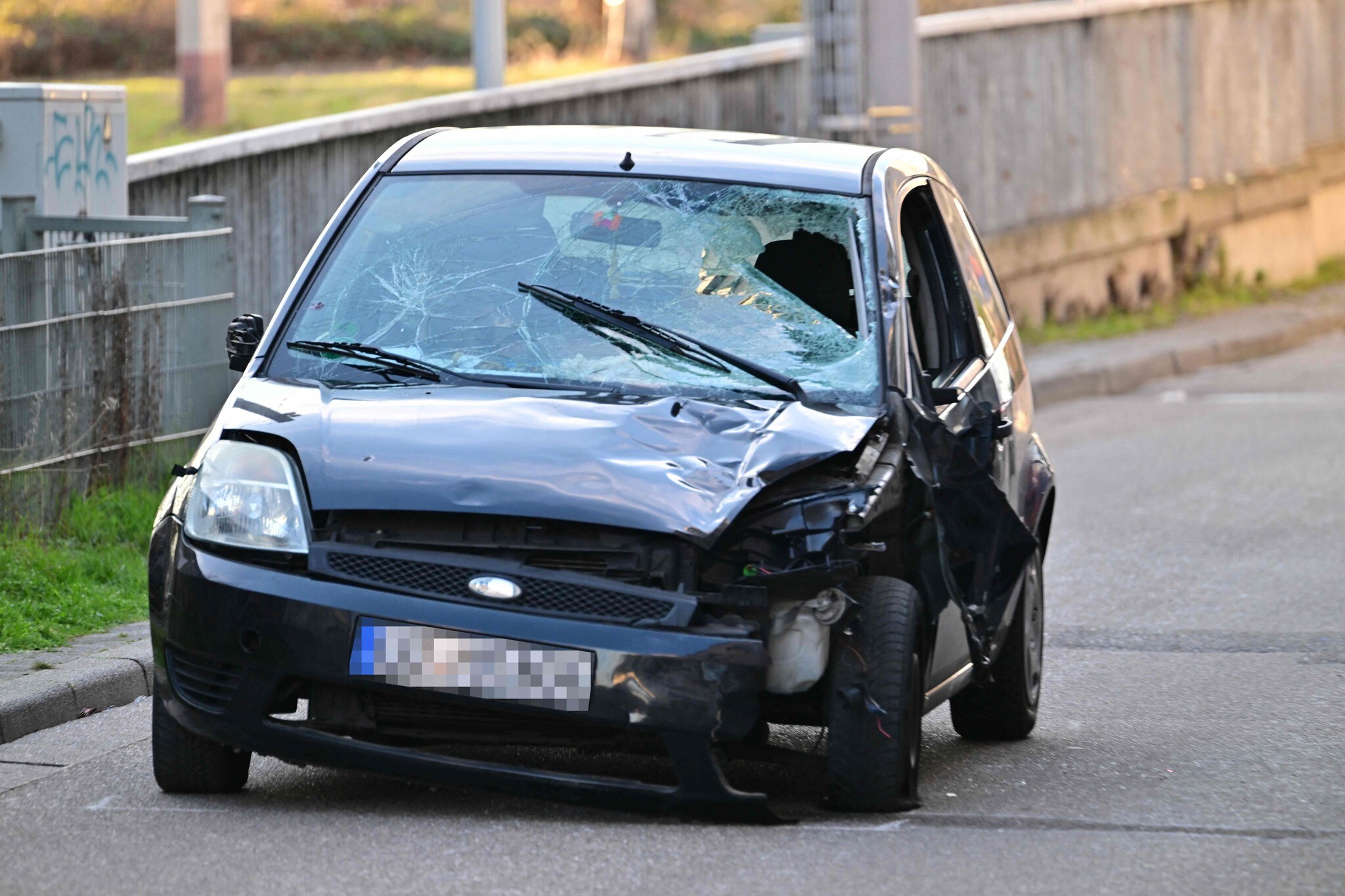 Dead in Mannheim - Car plowed into crowd: wild scenes before arrest ...