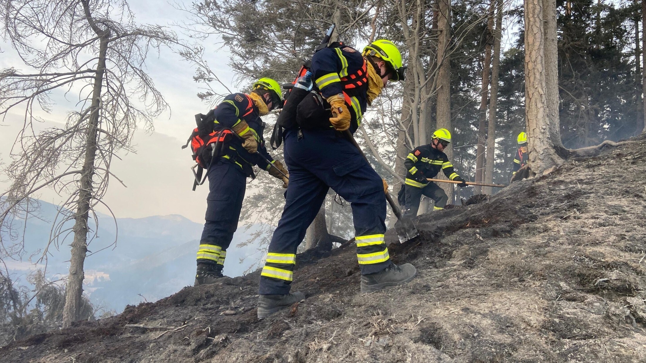 Im Rax-Gebiet - NÖ: Brennendes Auto löst riesigen Waldbrand aus | krone.at