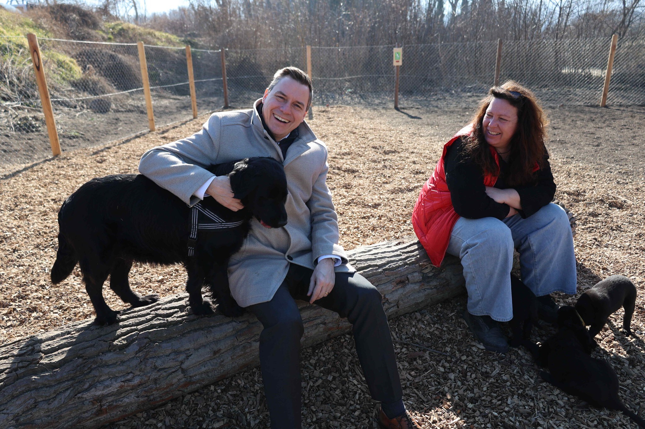 2100 dogs registered - City creates space for four-legged friends to ...