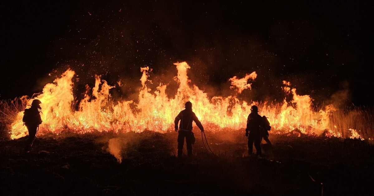 Comrades challenged - Reed fire in Illmitz: Beware of wildfires! | krone.at