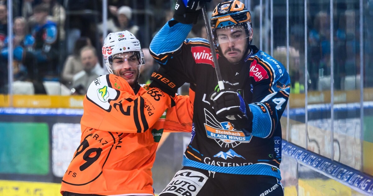 Black Wings in Graz: - Bring the series and the private jet back to ...