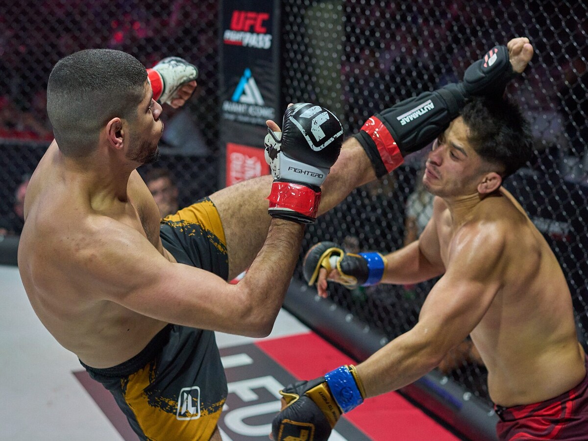 Alle Kämpfe live! - Cage Fight Series 17: Jetzt fliegen die Fäuste | krone.at