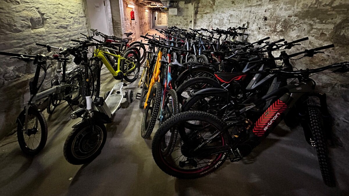 344 Coups geklärt - Halbe Mio. Euro Schaden: E-Bike-Bande aufgeflogen ...