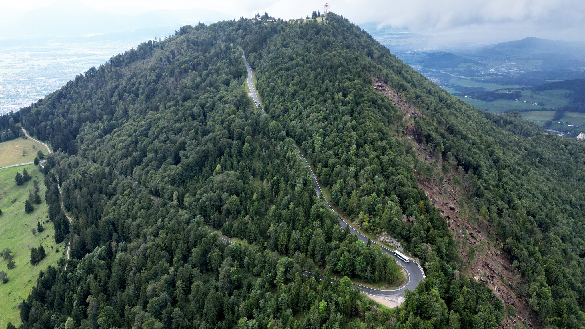 Sexy lightskin solo this charming beauty put me at ease