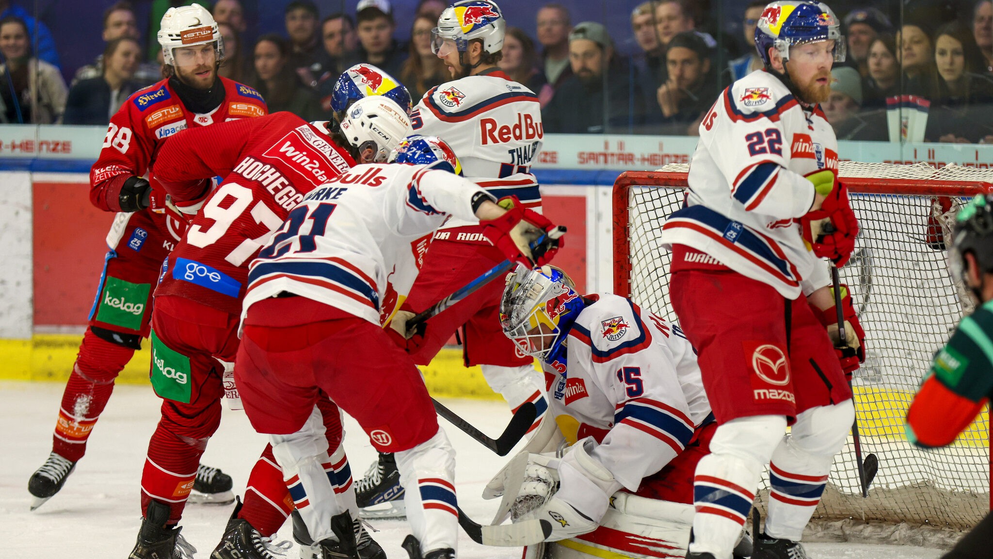 Neuer Legionär - Eisbullen verpflichten kanadischen Verteidiger | krone.at