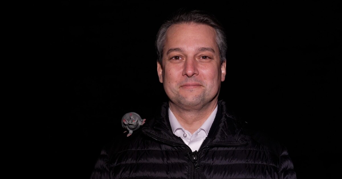 Die „Krone“-Mutprobe - Ratten, Spinnen: Wie mutig ist FPÖ-Chef Nepp ...