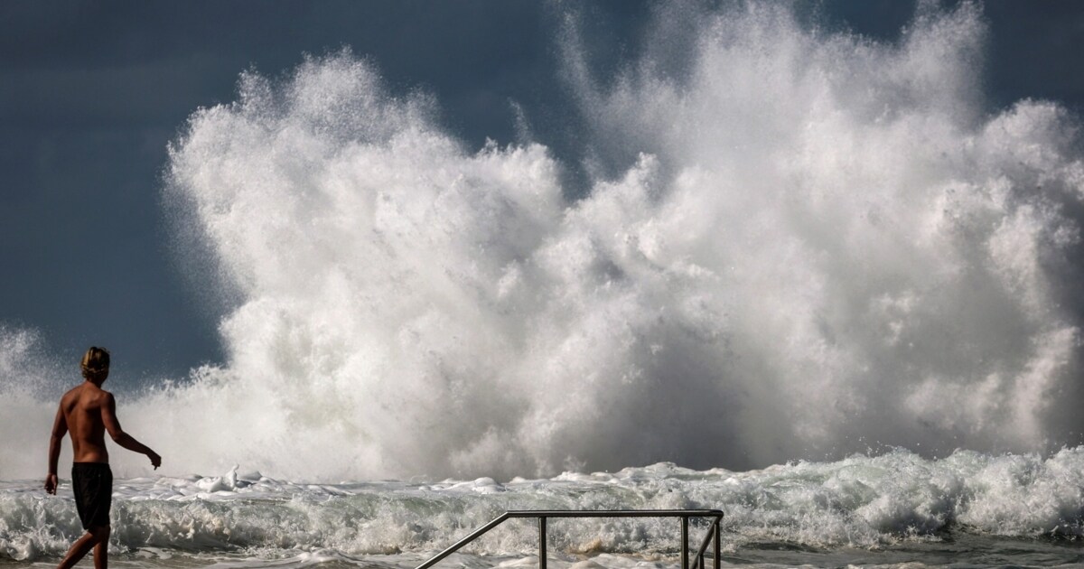 Very small petite porn so let's get down to the essentials: