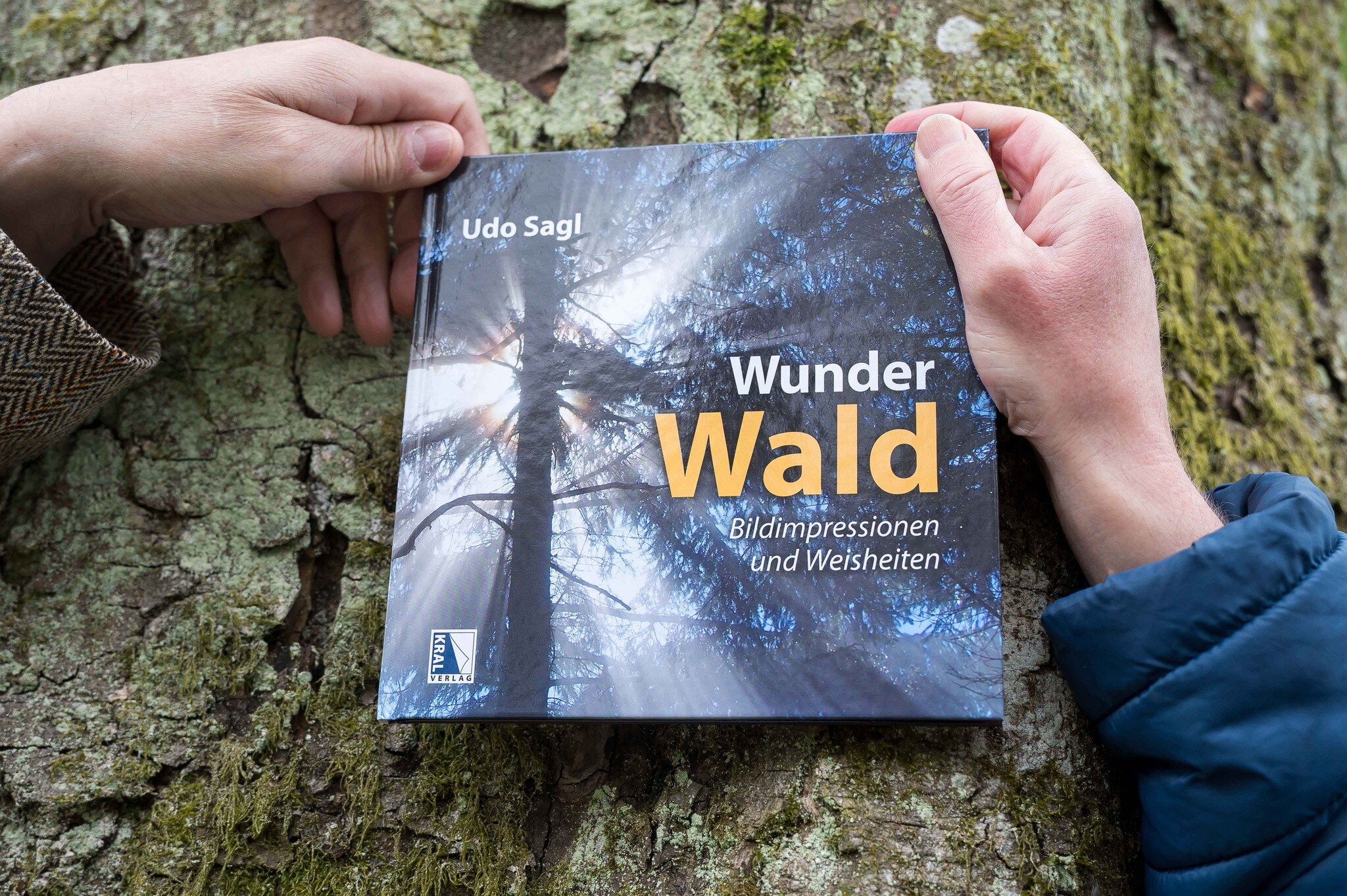Das Universum Wald - Wunderwelt unserer Bäume und Naturschätze | krone.at