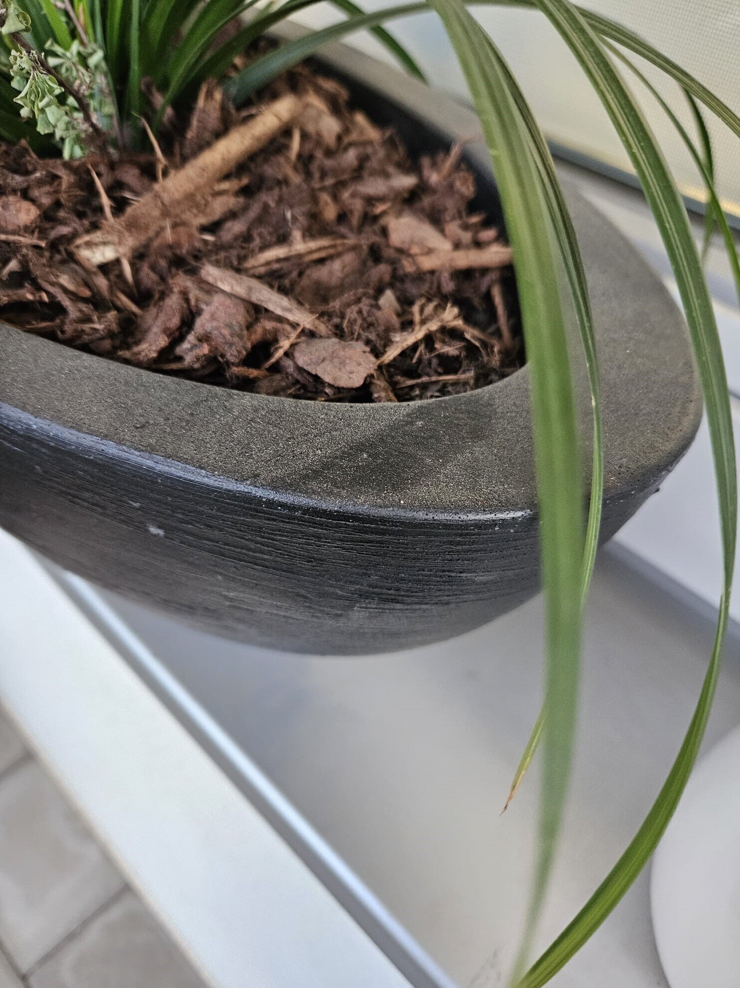 Gesundheit gefährdet - Anrainer-Ärger wegen staubigster Straße der ...