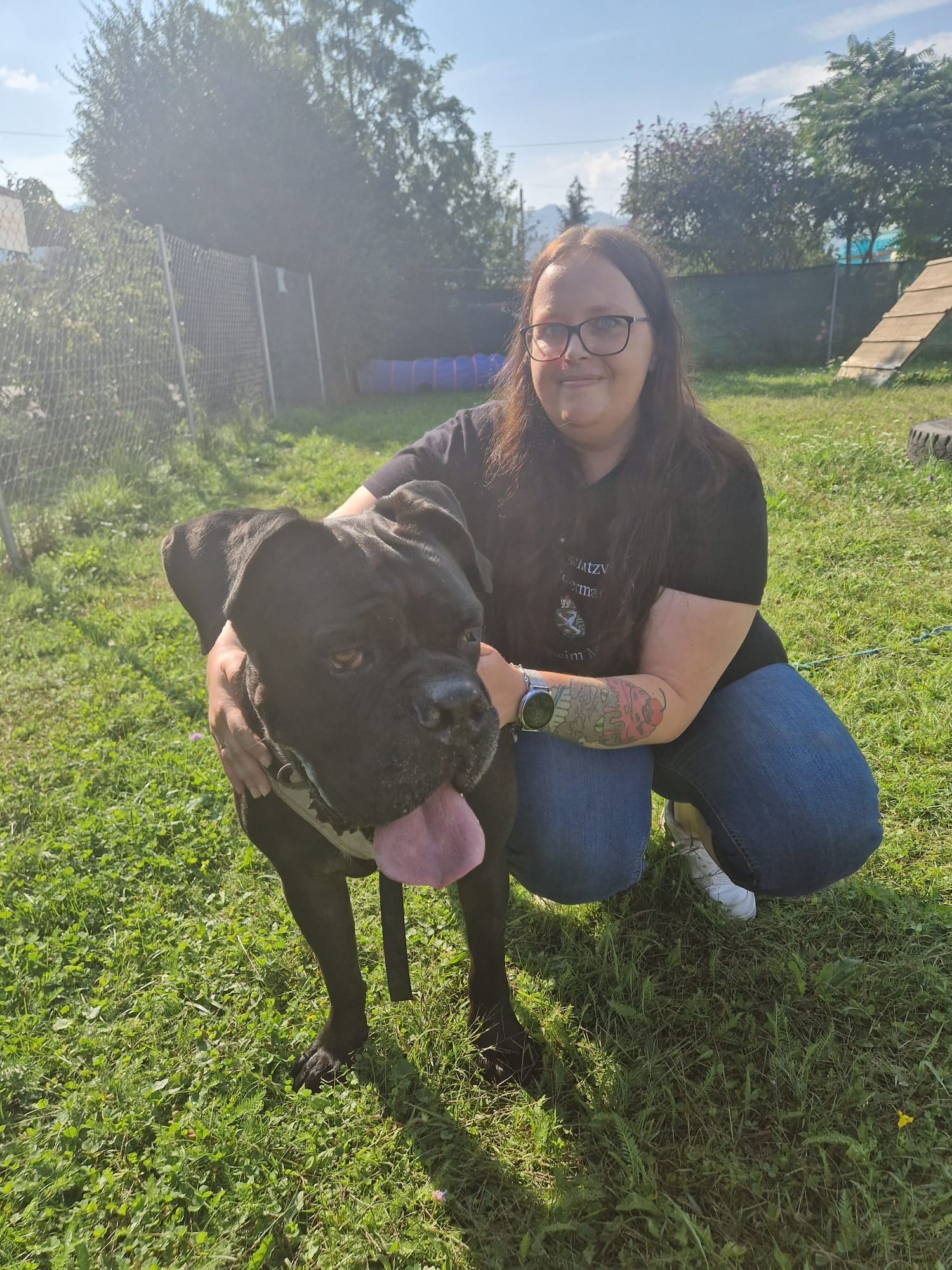 Tierquälerei im Murtal - Unfassbarer Missbrauch: 15 Hunde abgenommen ...