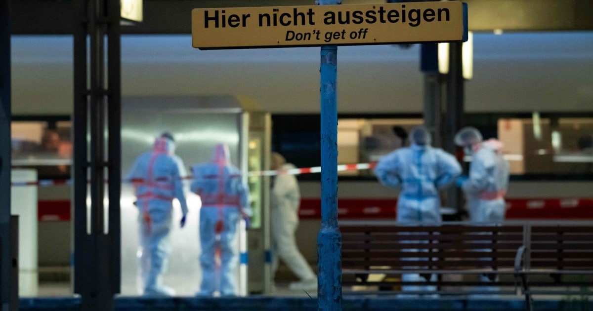 Dutzende Opfer - Hamburg: Frau (39) stach auf Zugreisende ein | krone.at