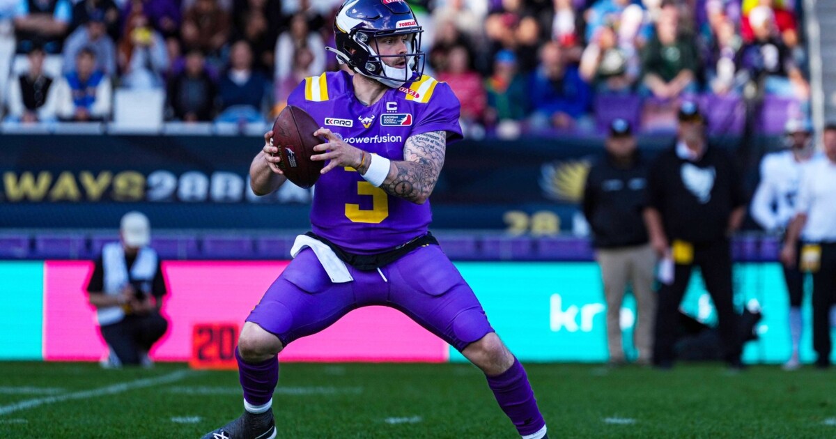 Wiener dominant - Vienna Vikings feiern Kantersieg gegen Fehervar ...