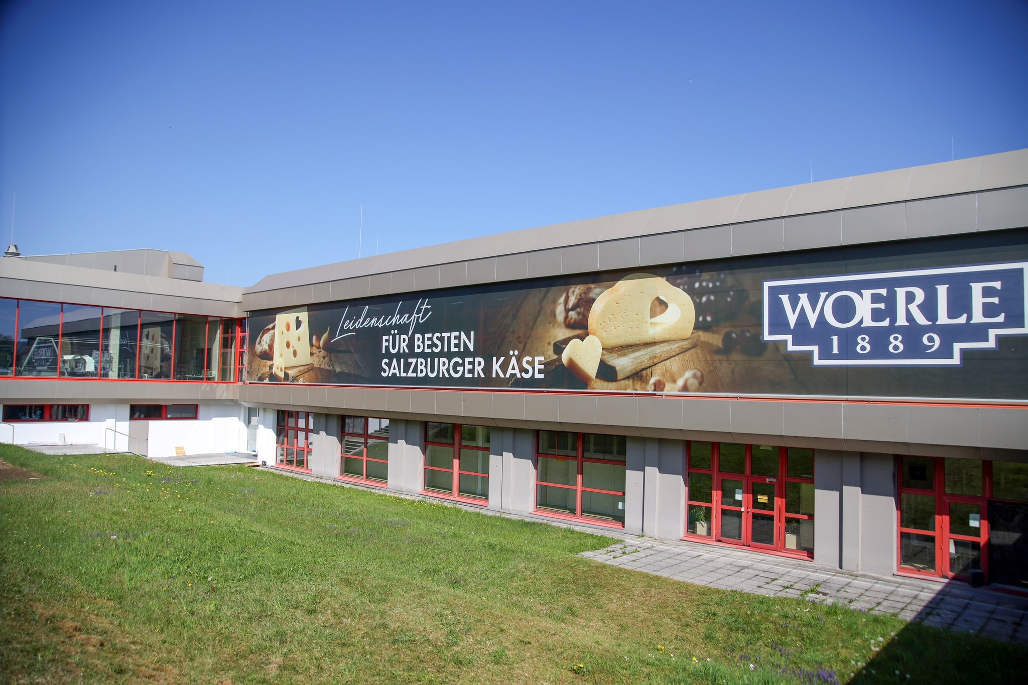 Emmentaler - Jetzt sind sogar die Löcher im Käse bedroht! | krone.at