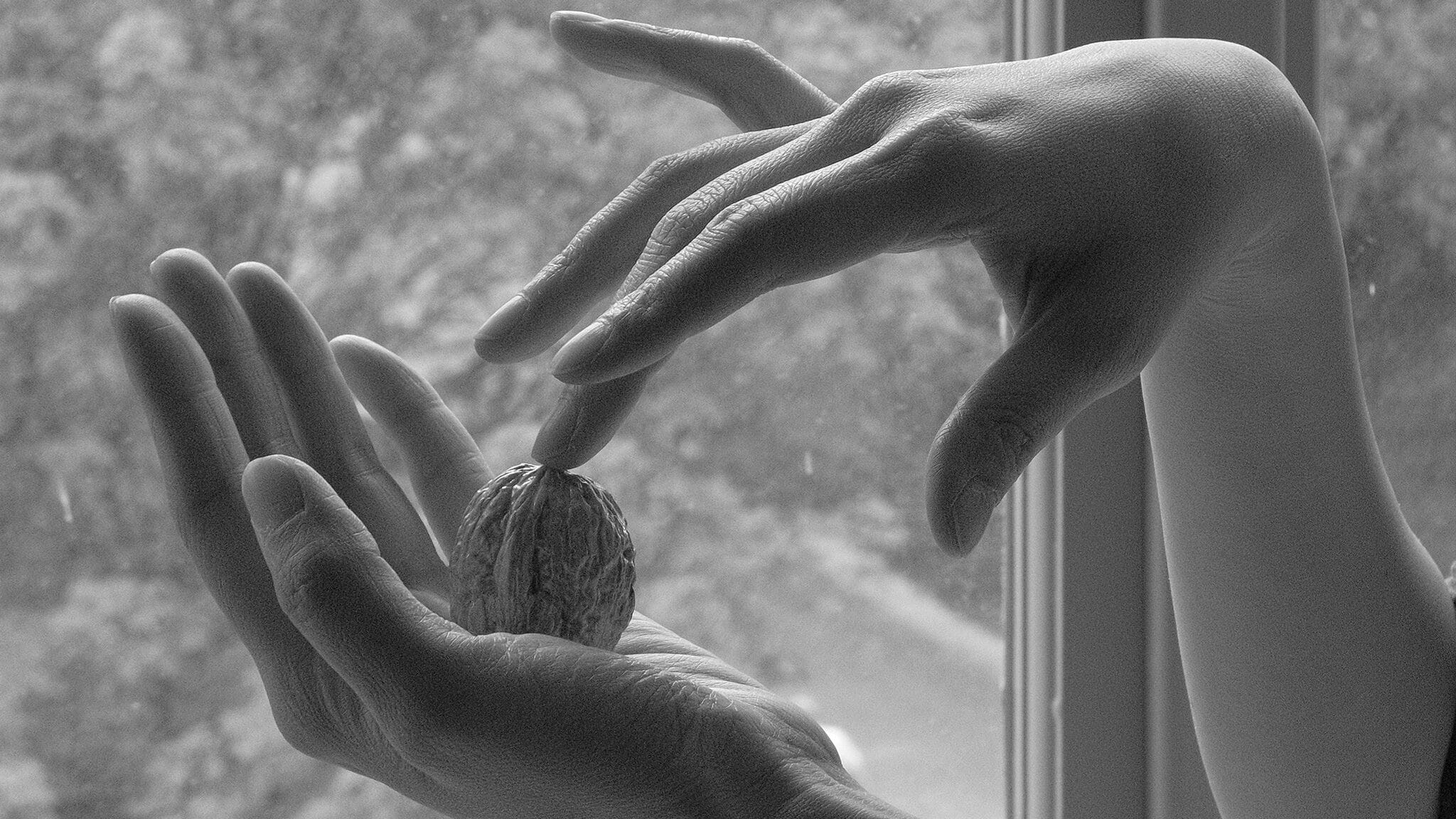 Junge Kunst im mumok - Kazuna Taguchi: Filigrane Blicke ins Schattenreich | krone.at