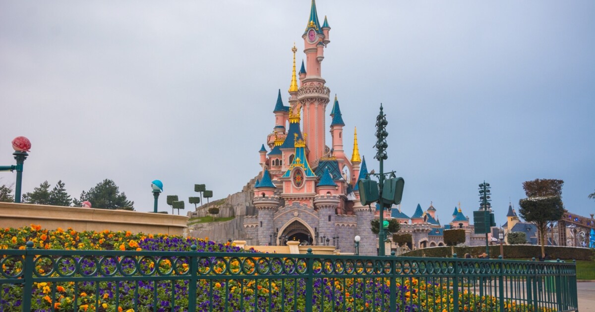 Xxx lara rose erome the collection was fairly accessible