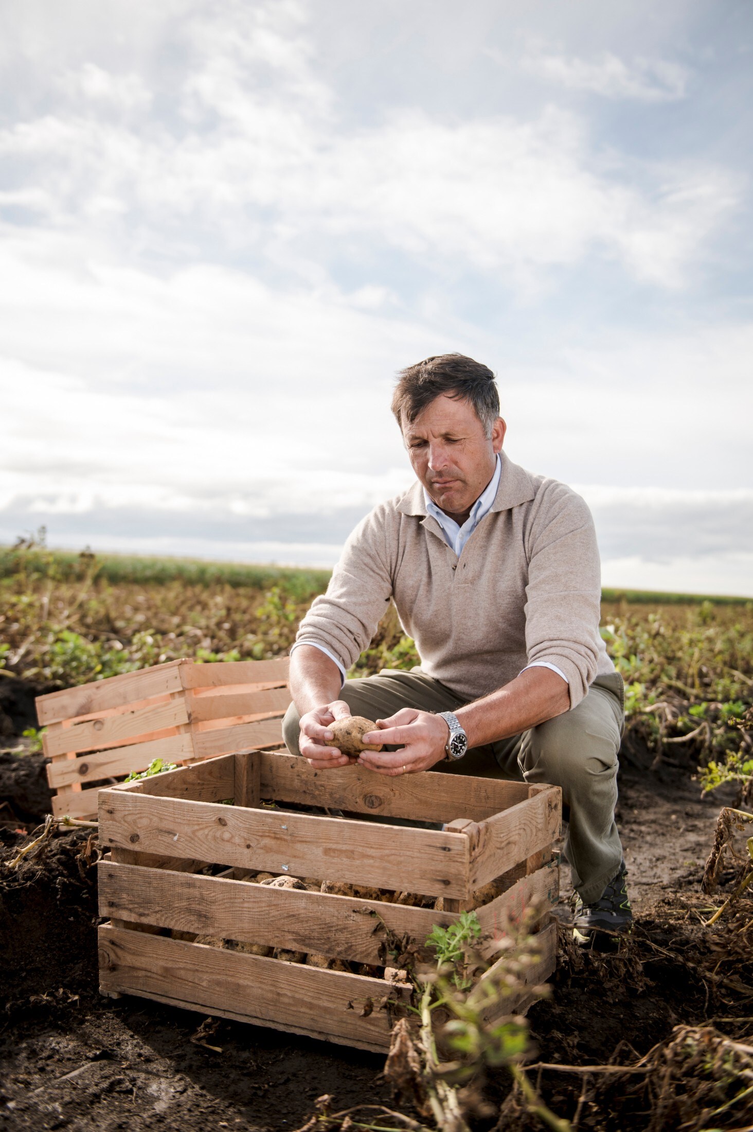 Mehr Wertschätzung - Spar-Chef schickt Lehrlinge in Stall und aufs Feld ...
