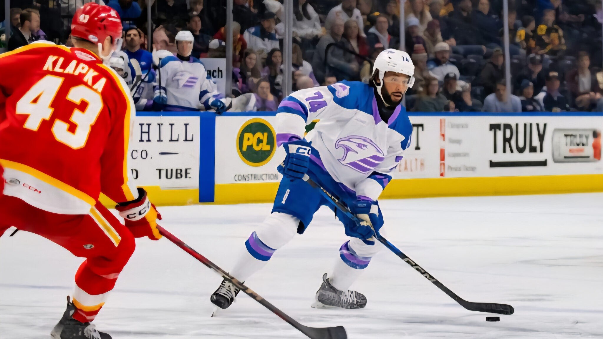 Letztes Puzzlestück - Eisbullen schließen Kaderplanung mit Kanadier ab ...