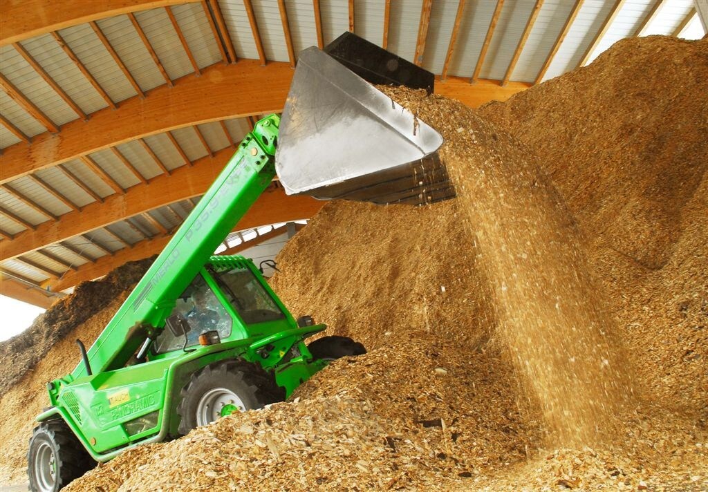 Isadora vale leak she speaks decent English & is quite