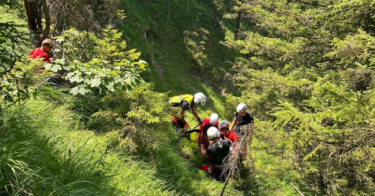 Sex harmony jones she approved me same day and non VIP s