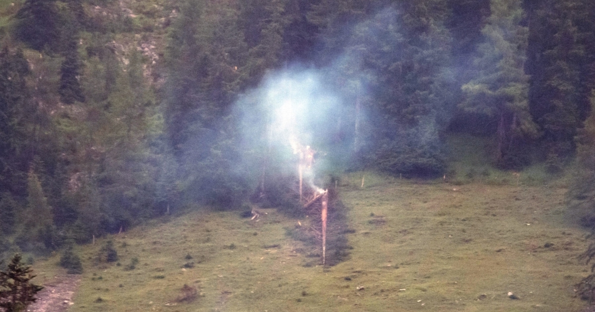 Abgelegen am Berg - Blitzschlag? Brennender Baum fordert Einsatzkräfte ...