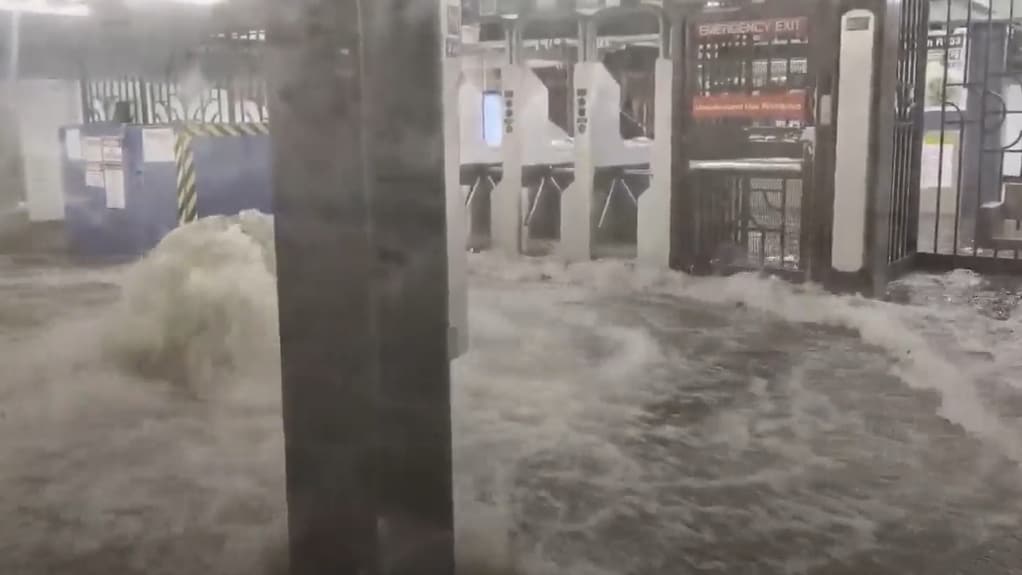 Porn gifs slow milanDior is visiting us from Seattle, and