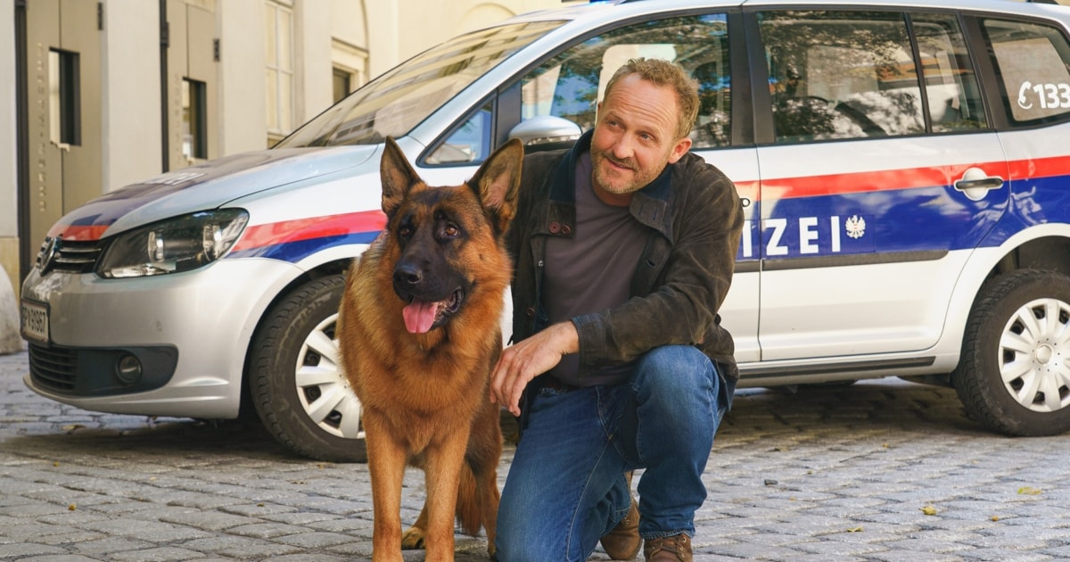 Hinter den Kulissen - „Kommissar Rex“: Hier geht’s um die Wurst(semmel ...